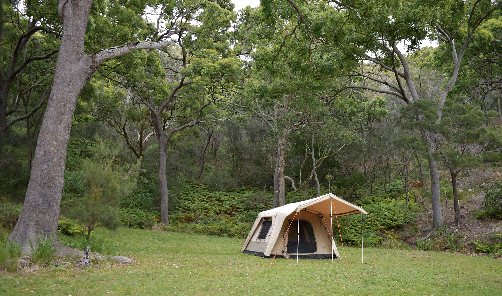 Heavy Duty Canvas Tents - BlackWolf Australia